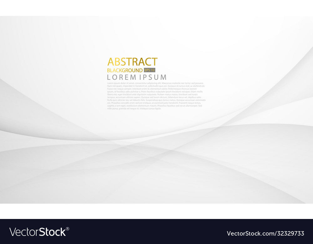 Abstract grey background poster with dynamic Vector Image