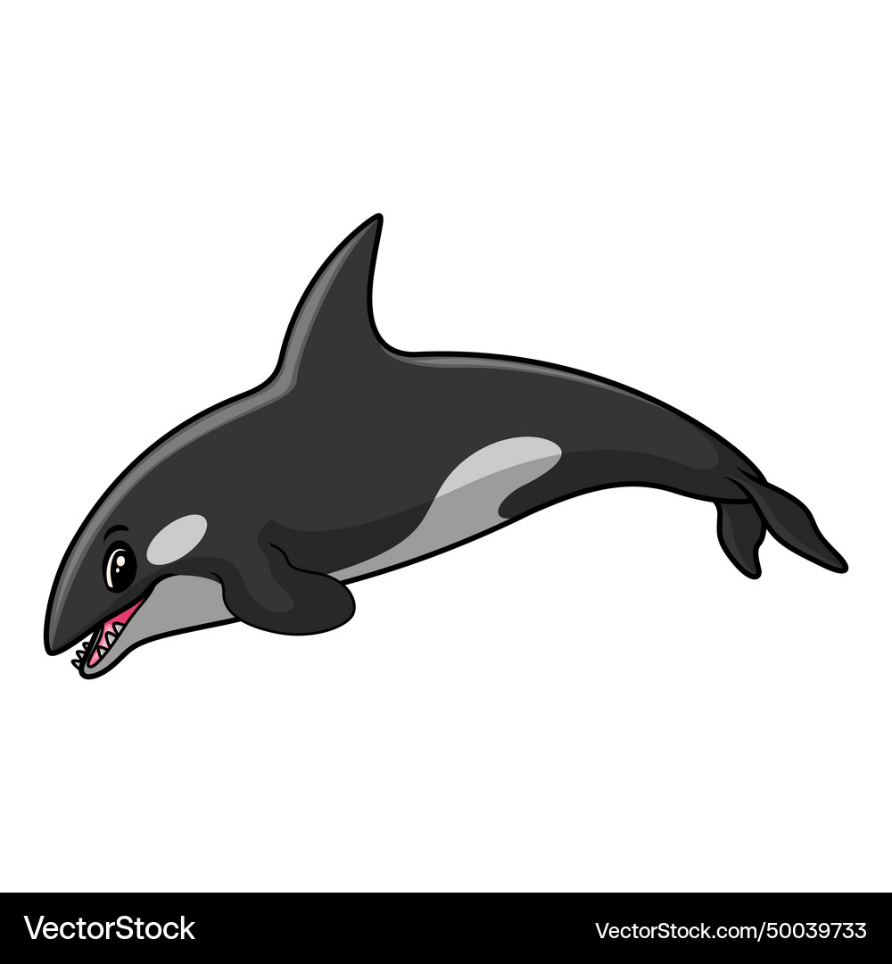 Cute cartoon orca a swimming Royalty Free Vector Image