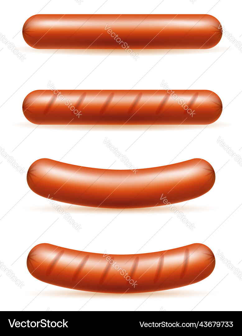 Sausage meat stock Royalty Free Vector Image - VectorStock