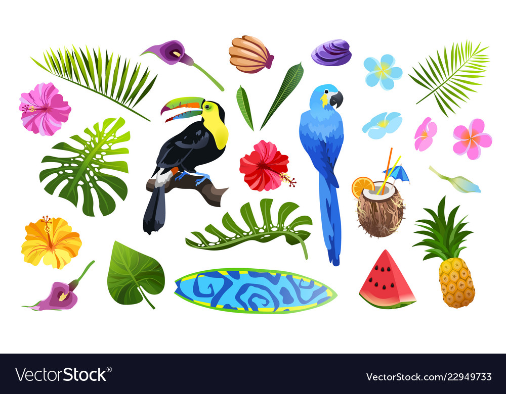 Tropical objects set Royalty Free Vector Image