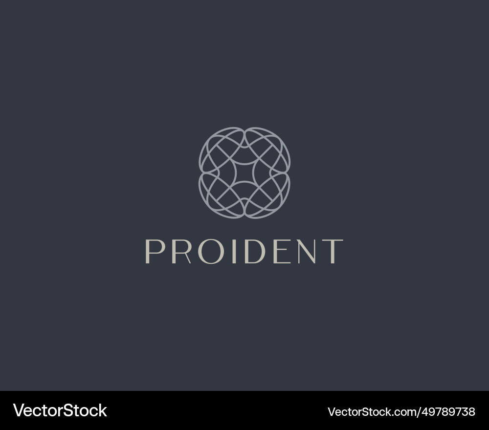 Abstract graceful logo design creative beauty Vector Image