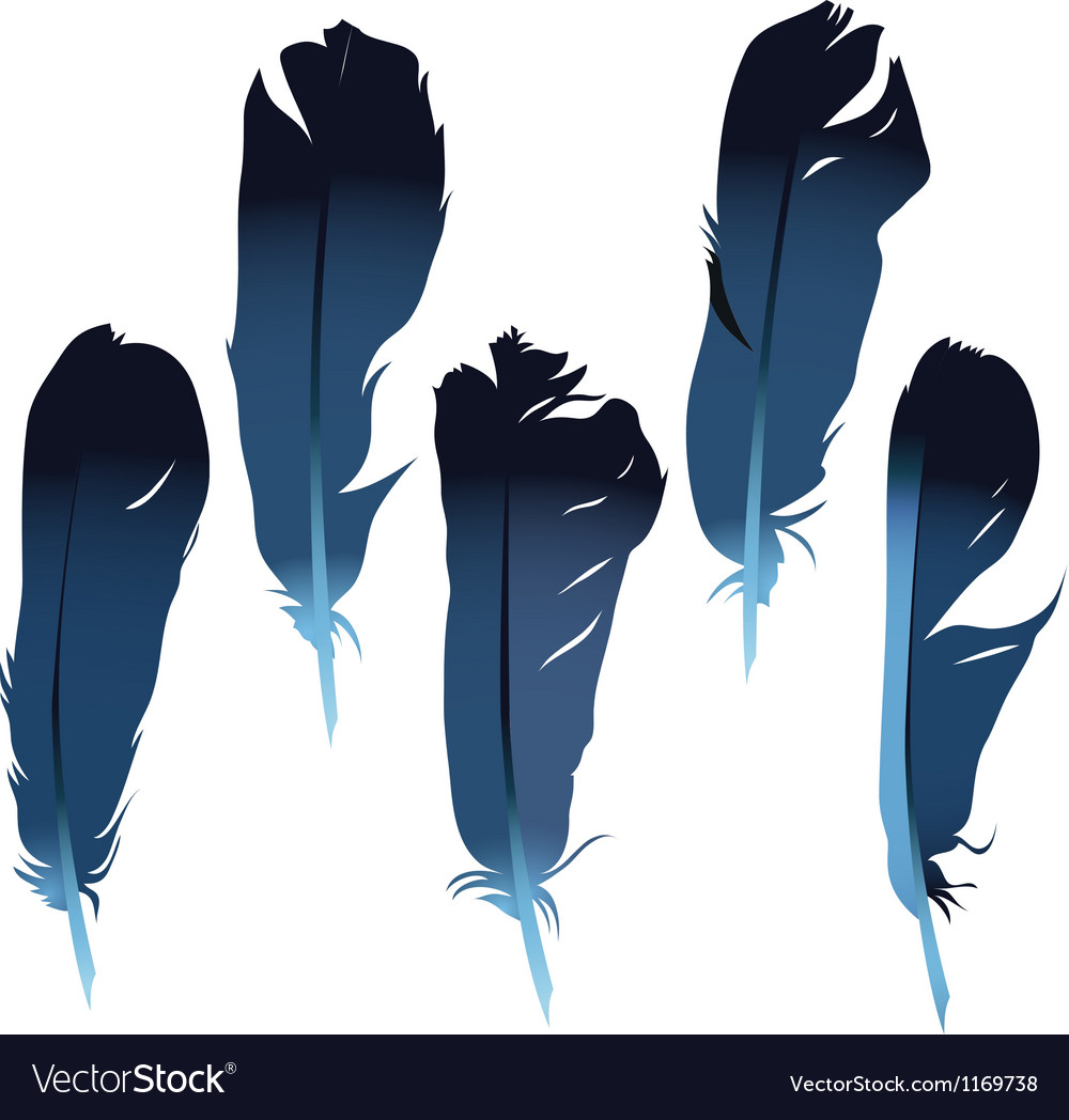 Feathers set Royalty Free Vector Image - VectorStock