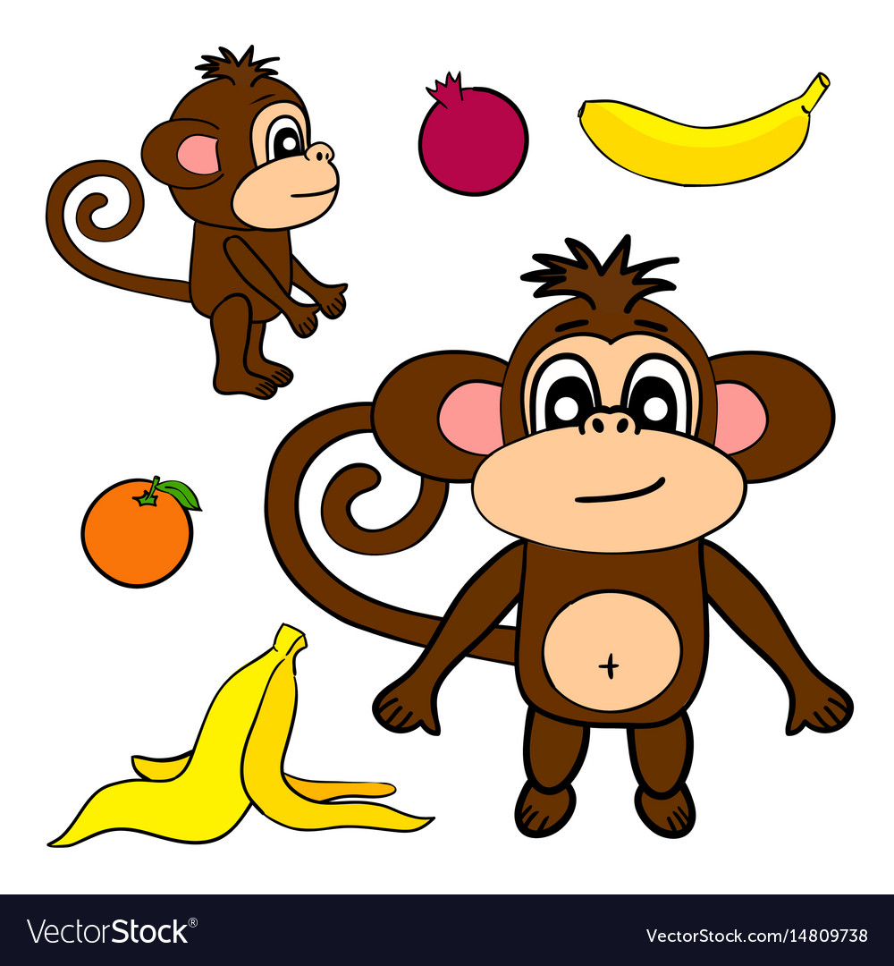 Monkey Royalty Free Vector Image - VectorStock