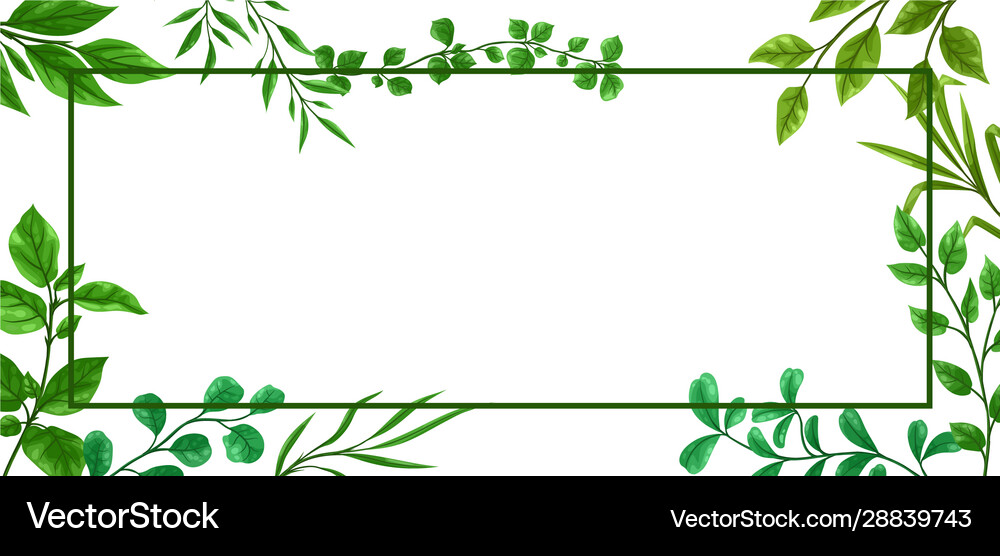 Frame sprigs with green leaves Royalty Free Vector Image