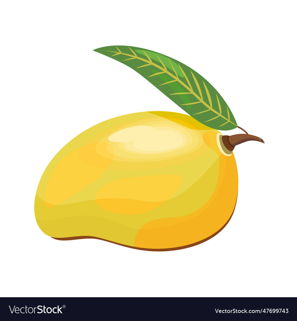 Mango Royalty Free Vector Image - VectorStock
