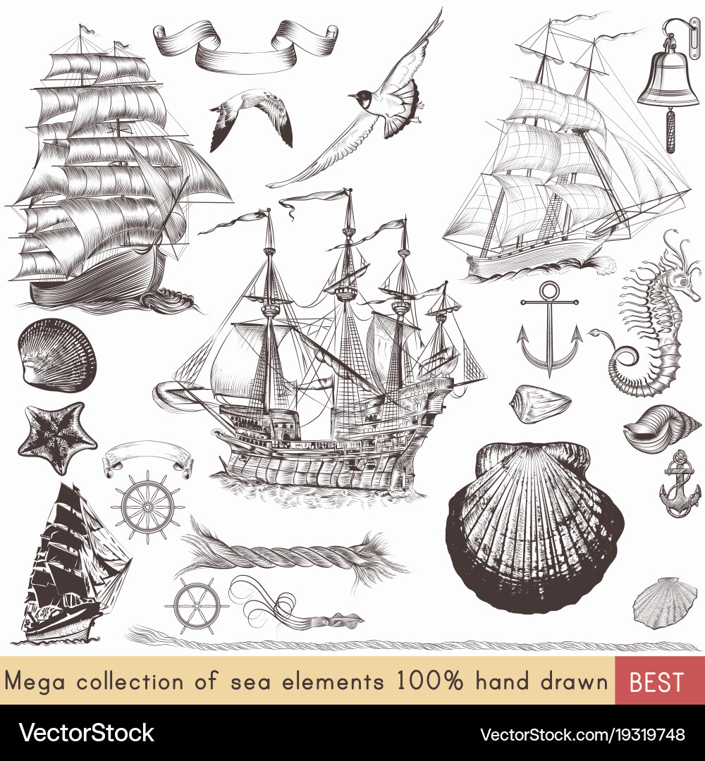Collection of nautical elements on theme sea Vector Image