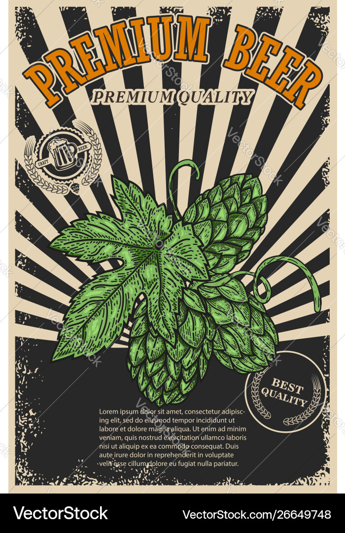 Premium beer poster template with hop Royalty Free Vector