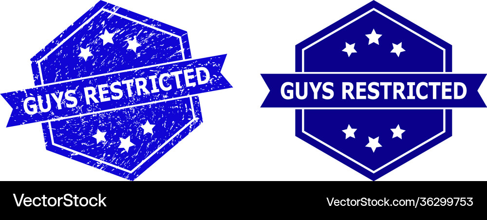 Hexagon guys restricted watermark with corroded Vector Image
