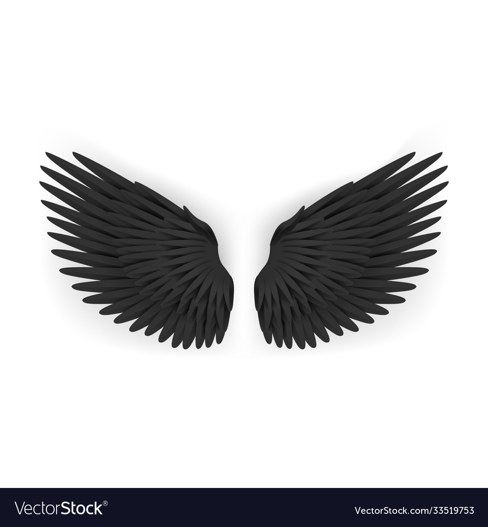 Realistic detailed 3d black blank wings template Vector Image Realistic detailed 3d black blank wings template Vector Image