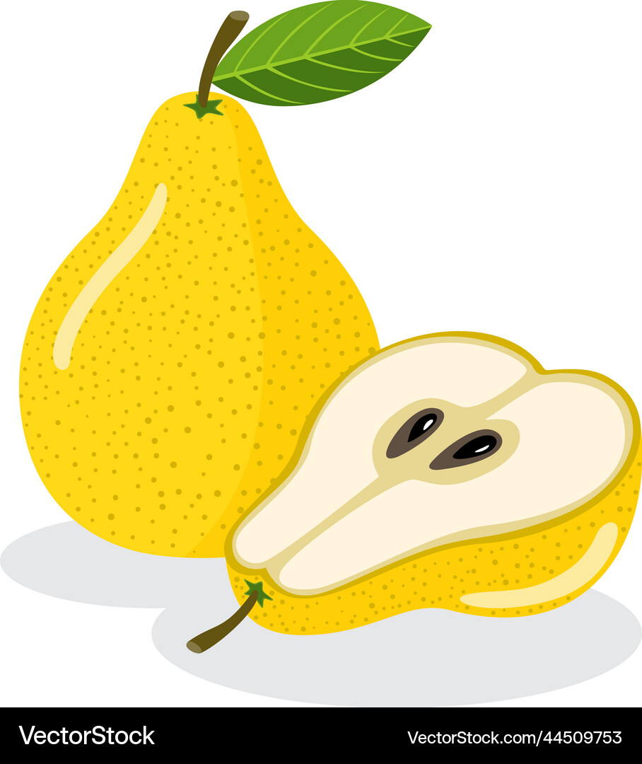 Whole and half yellow pear Royalty Free Vector Image