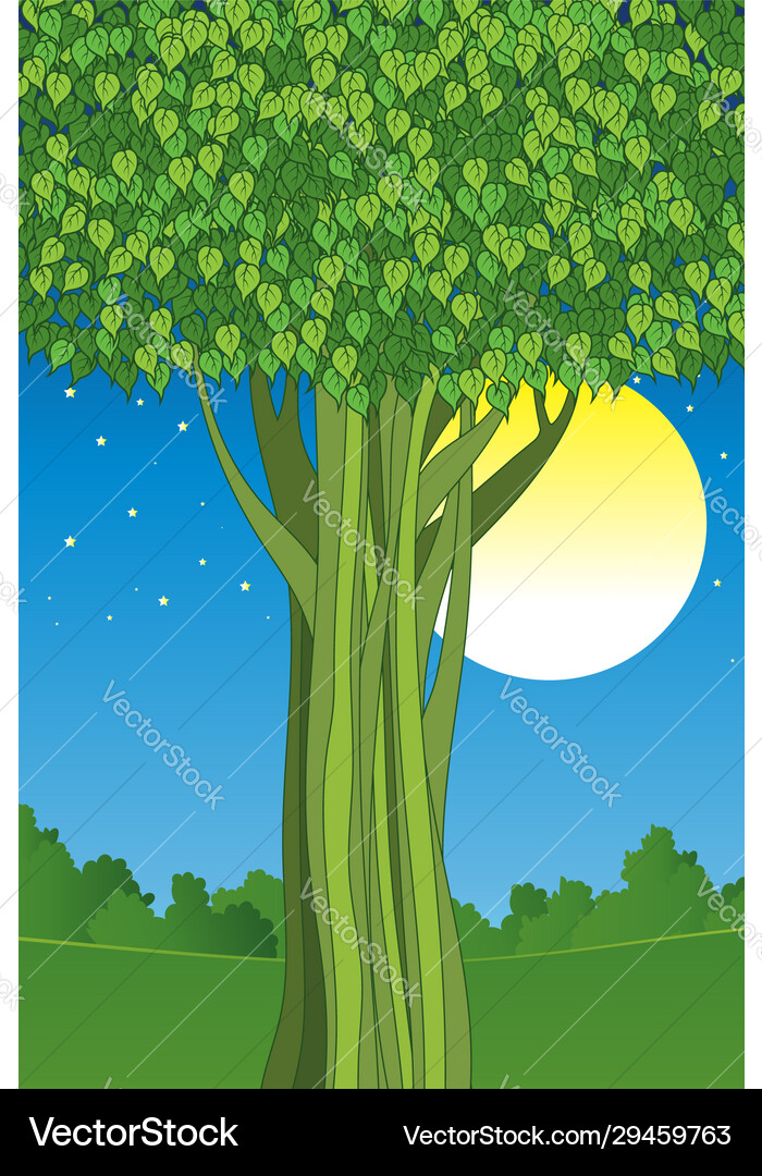 Bodhi tree has bushes and a full moon Royalty Free Vector
