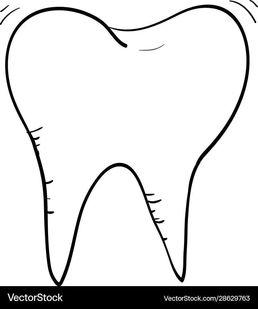 Doodle tooth with hand drawn line art style Vector Image