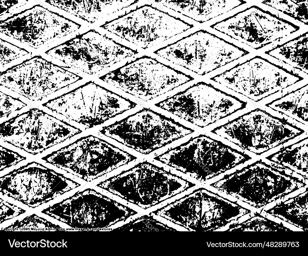 Rustic grunge texture with grain and stains Vector Image