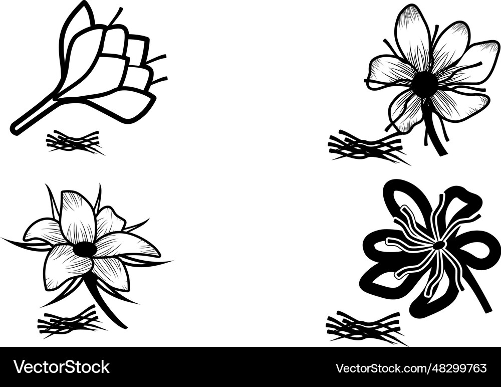 Set of saffron logo template Royalty Free Vector Image