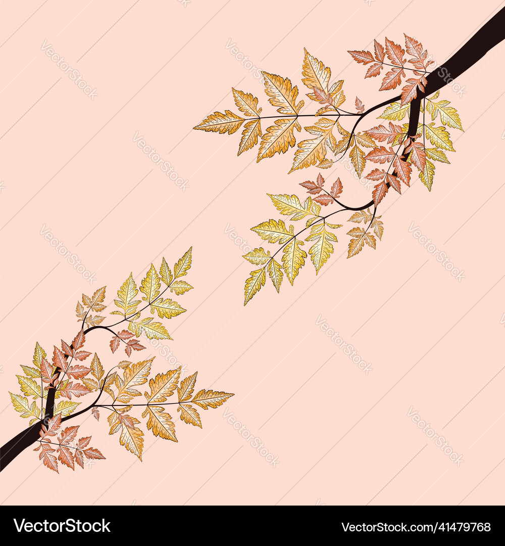 Branch with autumn leaves Royalty Free Vector Image