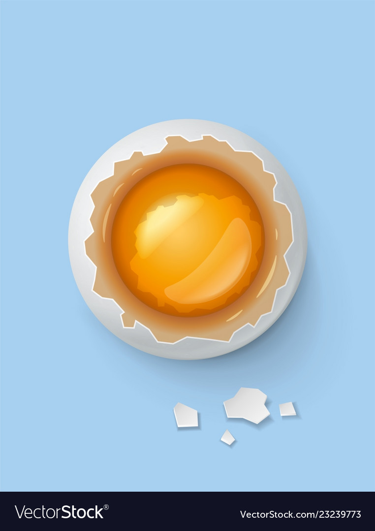 Broken egg with yolk and shell Royalty Free Vector Image