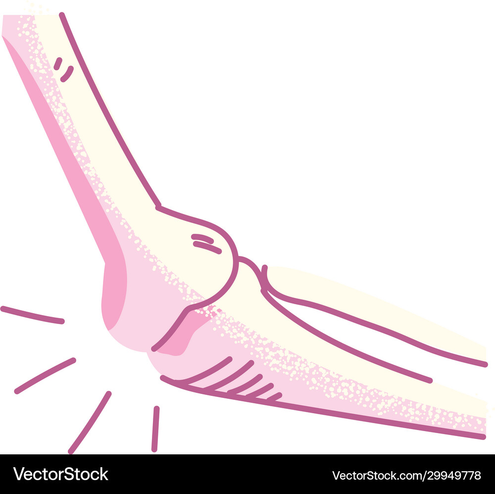 Knochen Arm Körperteil auf weißem Hintergrund Vektorbild