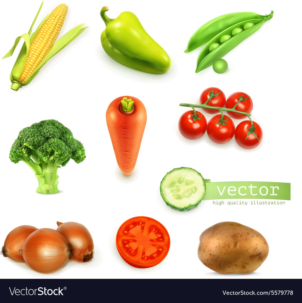 Set vegetables Royalty Free Vector Image - VectorStock