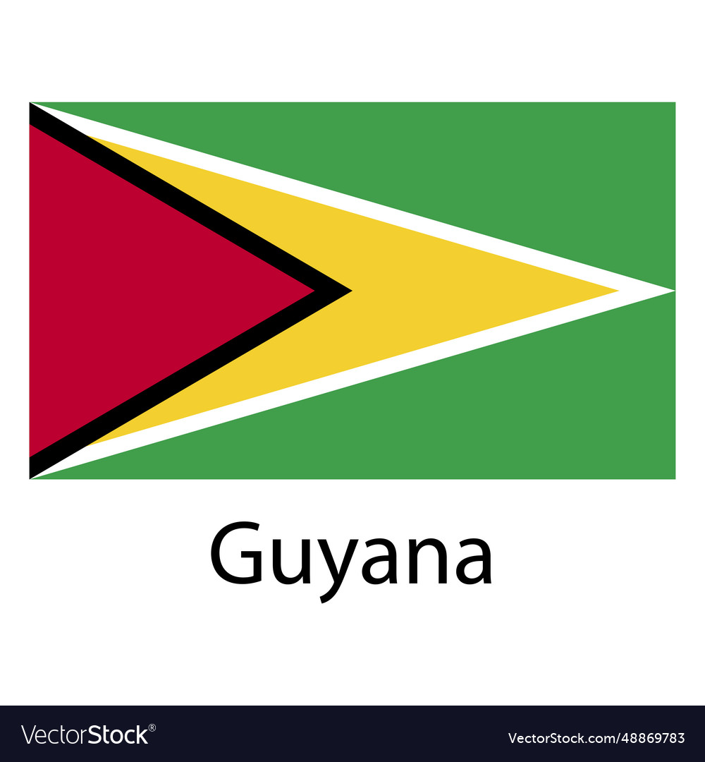 Guyana national flag Royalty Free Vector Image