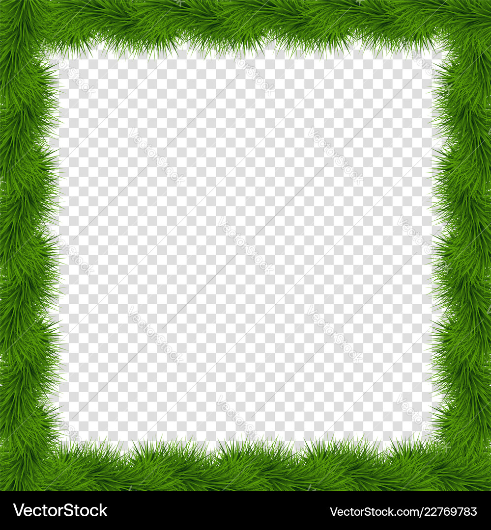 Realistic fir-tree square border frame Royalty Free Vector