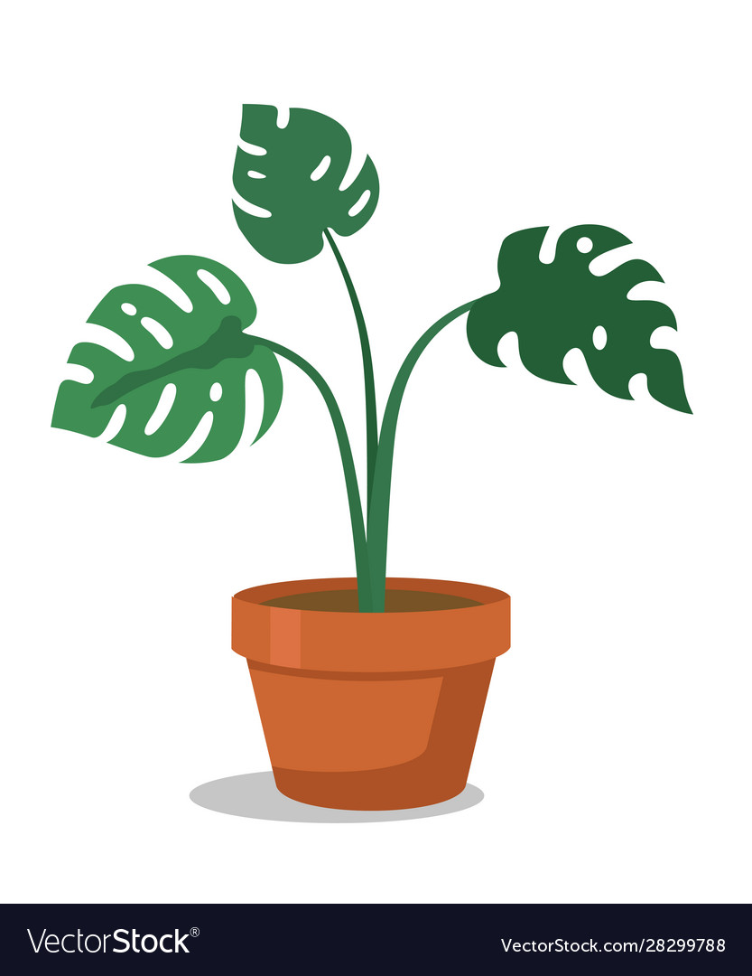 Houseplant Flat Royalty Free Vector Image Vectorstock
