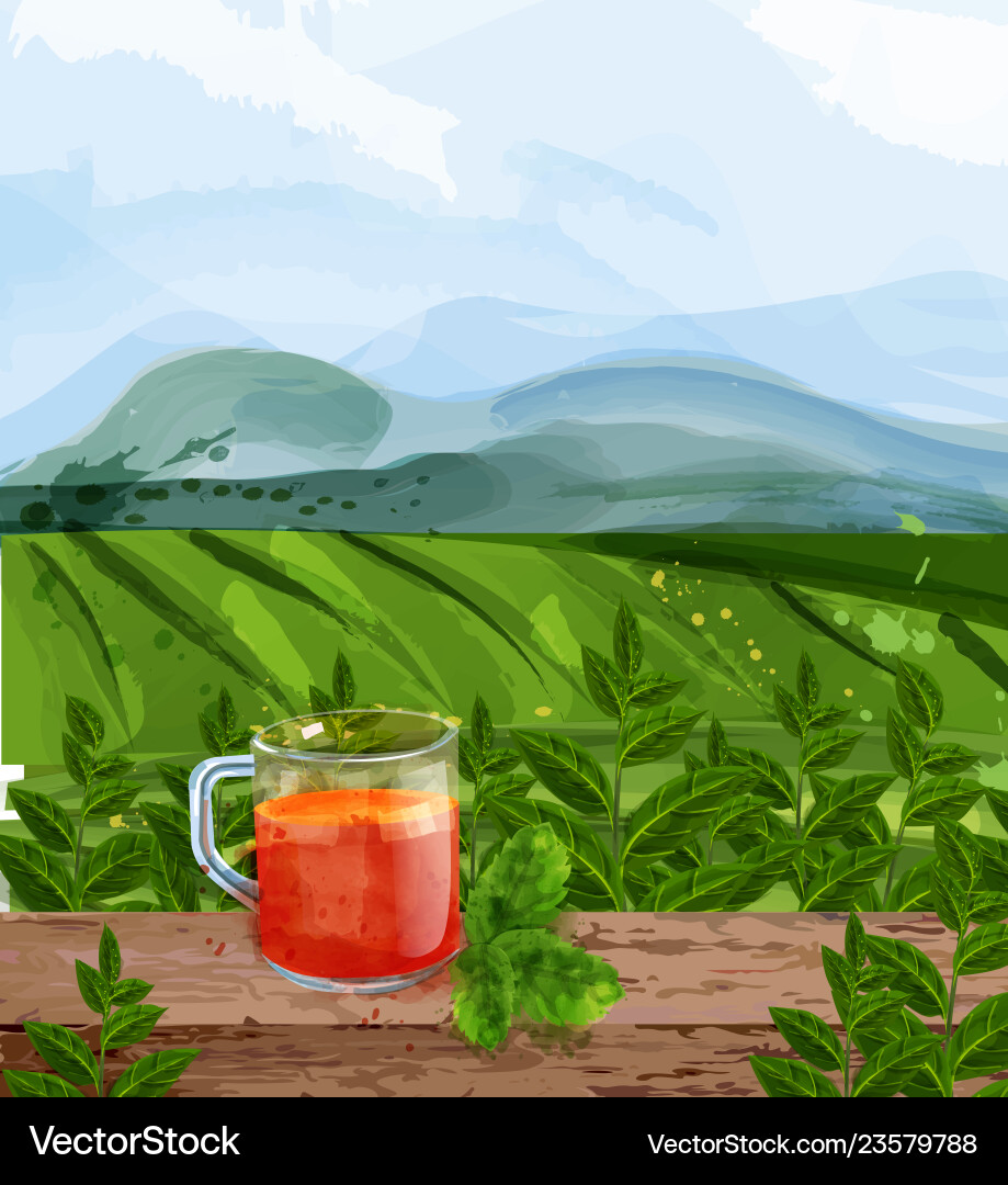Tea landscape watercolor green fields Royalty Free Vector