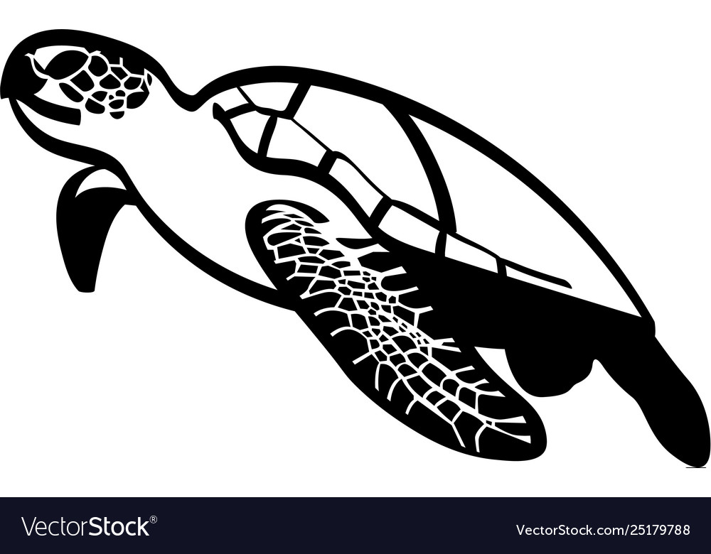 Turtle eps Royalty Free Vector Image - VectorStock