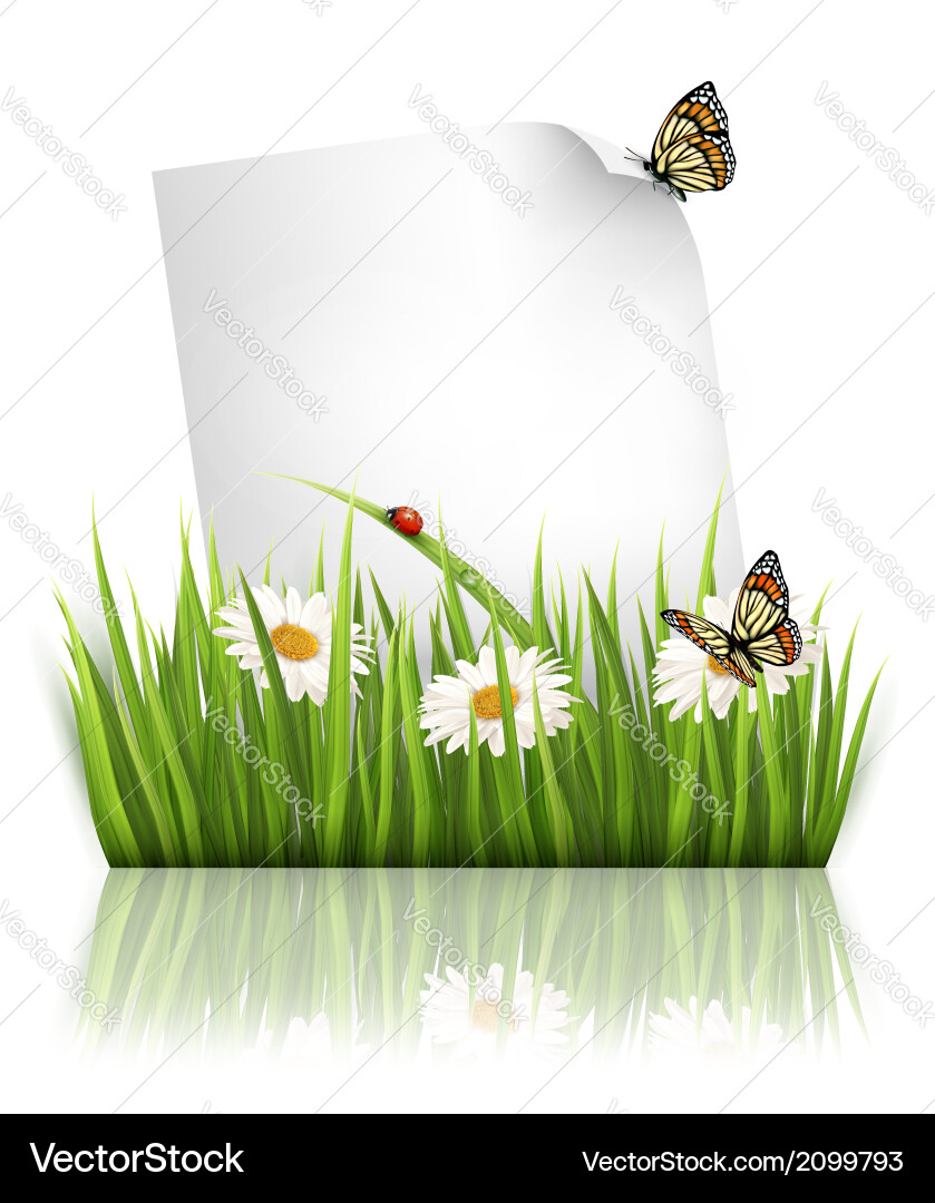 Nature background with grass and a paper Vector Image