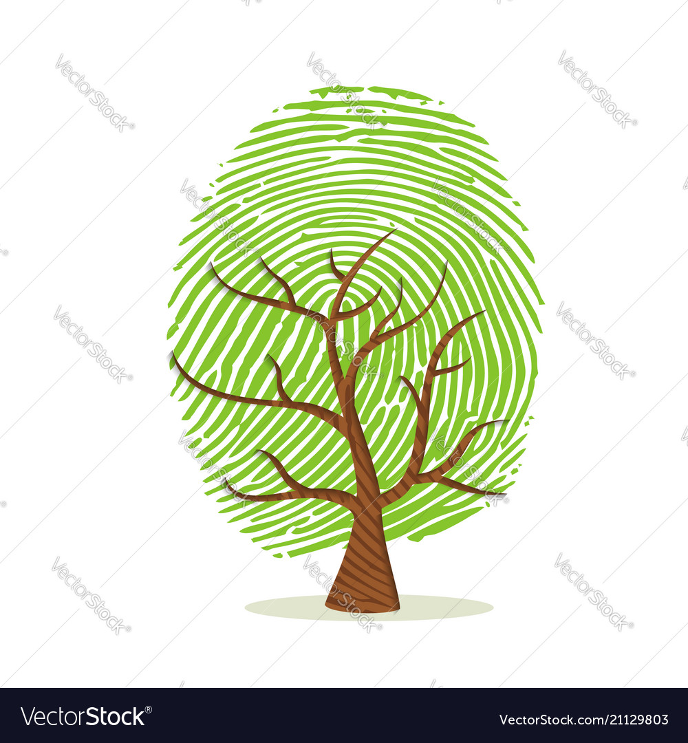 Fingerprint tree green human finger print Vector Image Fingerprint tree green human finger print Vector Image