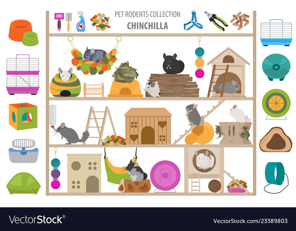 Pet rodents home accessories icon set flat style Vector Image