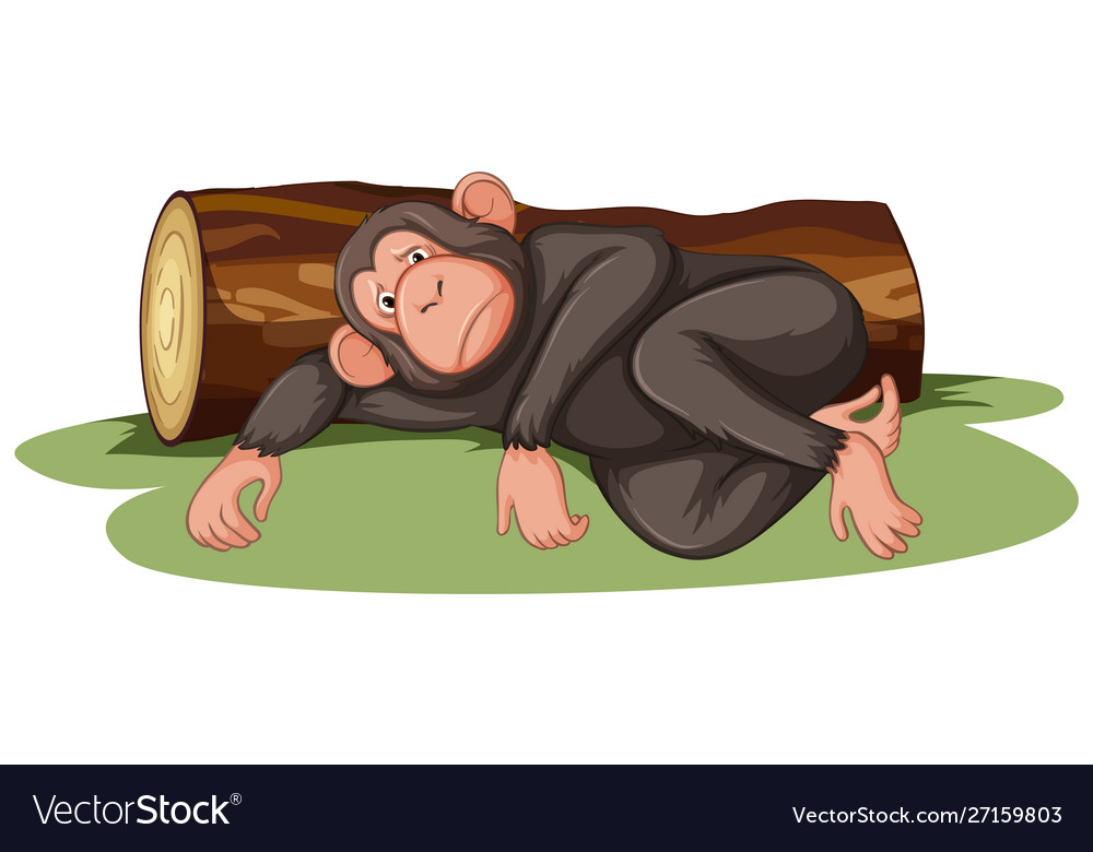 Sick monkey lying log Royalty Free Vector Image