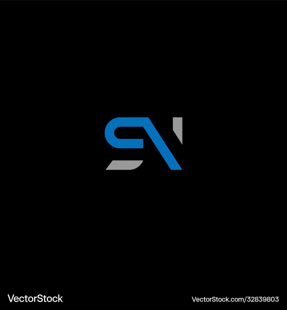 Sn or ns abstract outstanding professional Vector Image