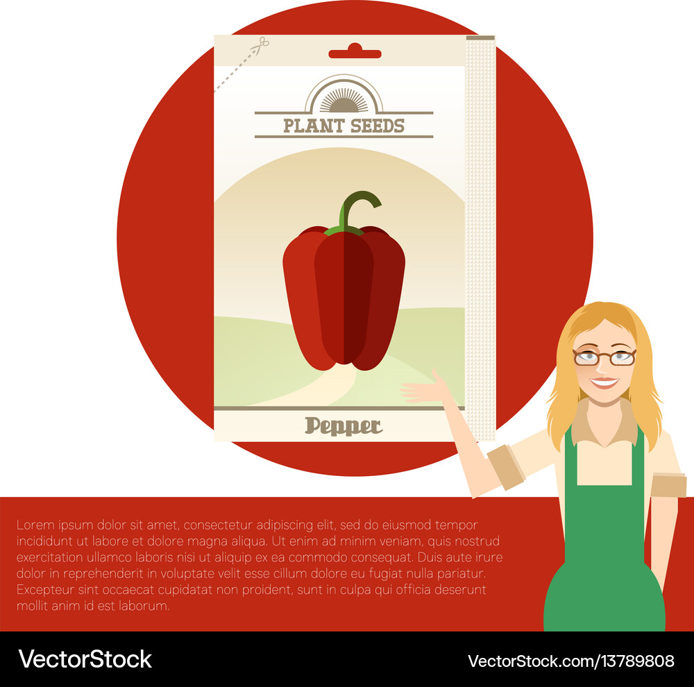 Pack of pepper seeds icon Royalty Free Vector Image