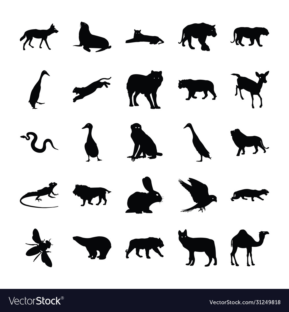 Animals solid icons pack Royalty Free Vector Image