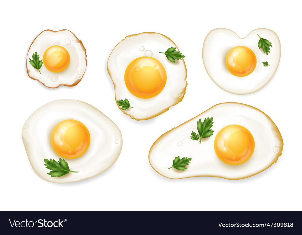 Fried eggs set Royalty Free Vector Image - VectorStock