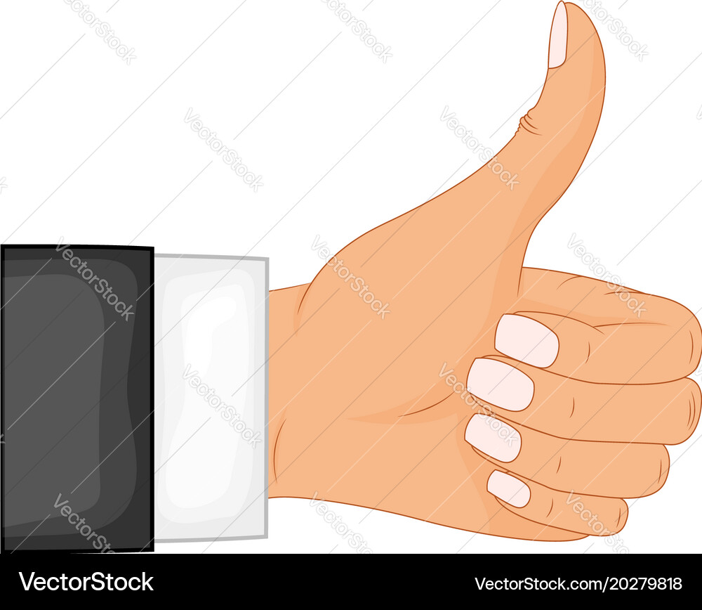 Hand thumb up sign on a white background Vector Image
