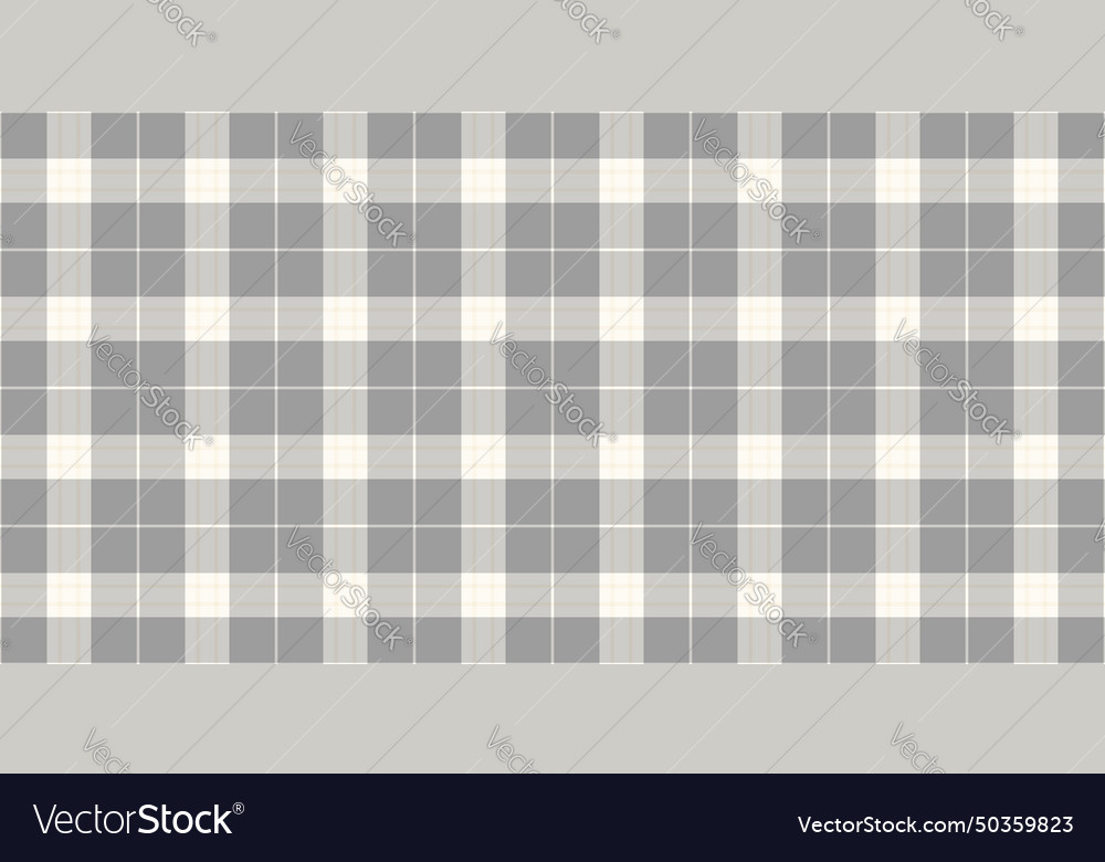 Basic background texture plaid manufacturing Vector Image