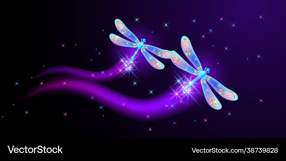 Flying dragonfly with sparkle and blazing trail Vector Image