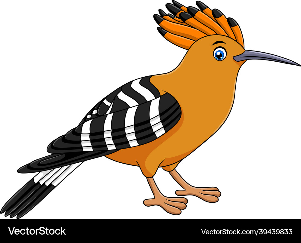 Cute hoopoe bird cartoon Royalty Free Vector Image