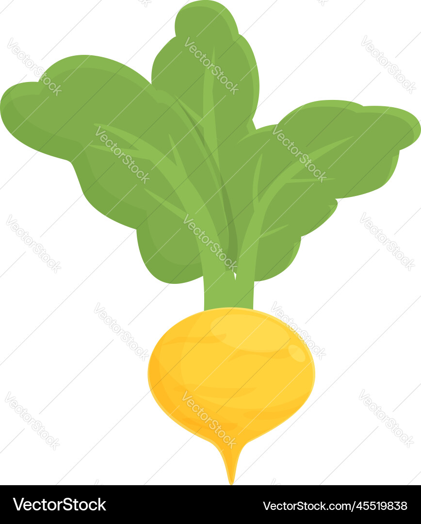 Cooking root icon cartoon green turnip Royalty Free Vector