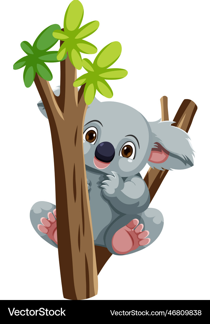 Cute koala cartoon character isolated Royalty Free Vector