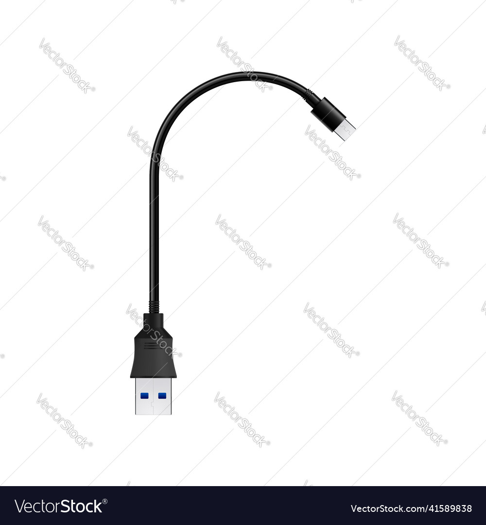 Flexible usb cable composition Royalty Free Vector Image