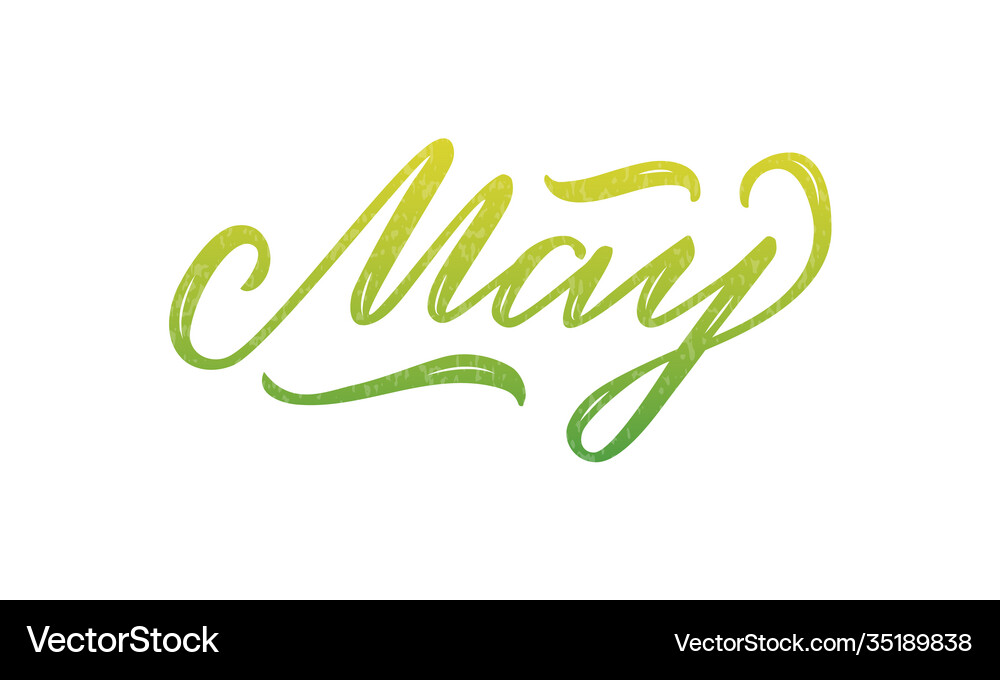 May yellow and green word with texture Royalty Free Vector