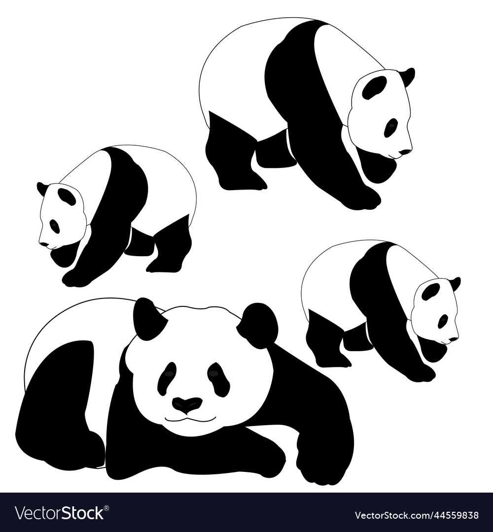 Panda Royalty Free Vector Image - VectorStock