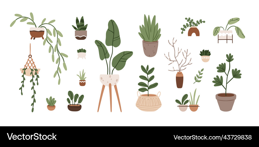 Potted plants set leaf houseplants in planters Vector Image