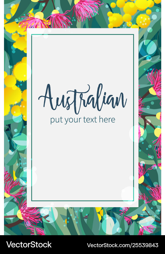 Australian Eucalyptus Flowers Royalty Free Vector Image