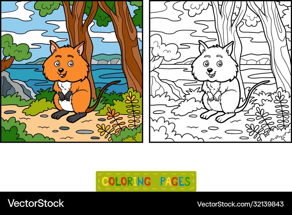 Coloring book quokka Royalty Free Vector Image