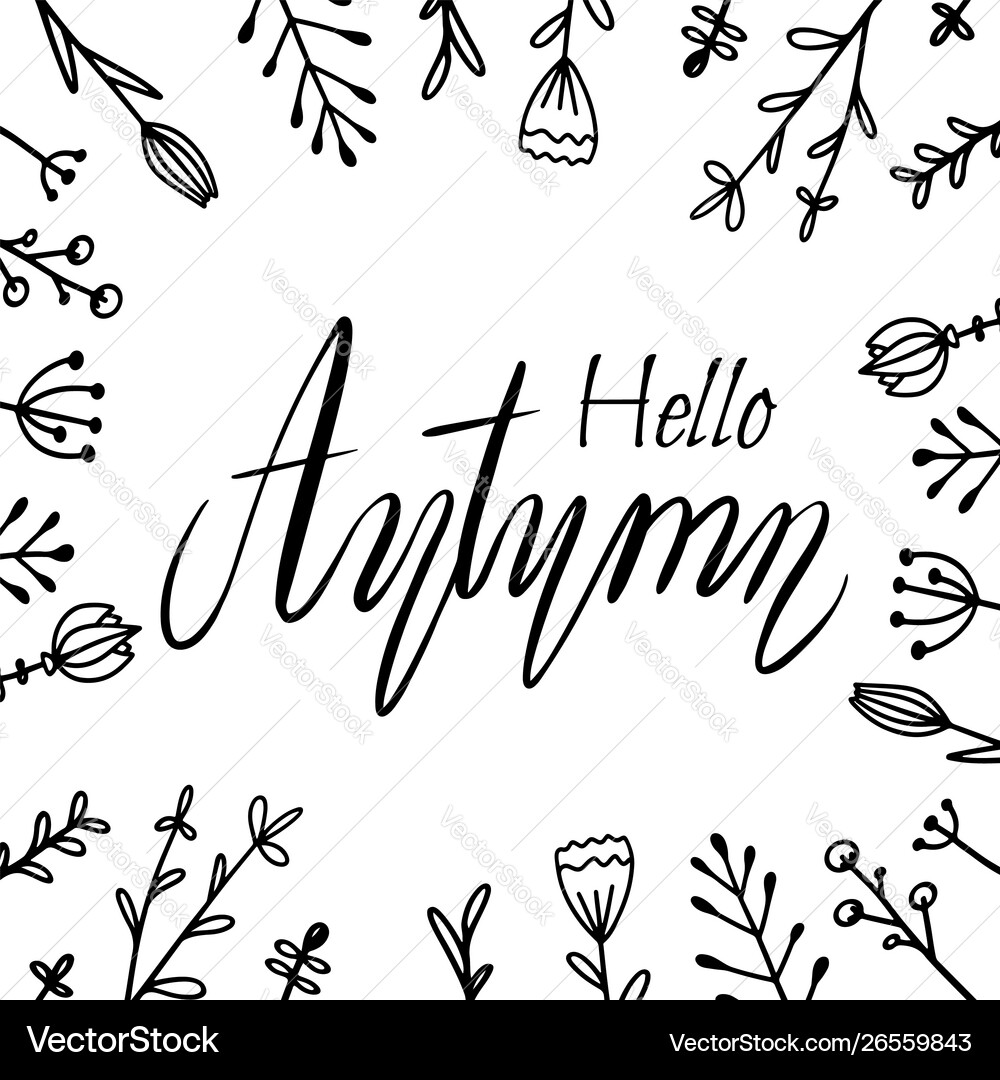 Hello autumn handwritten lettering with doodle Vector Image