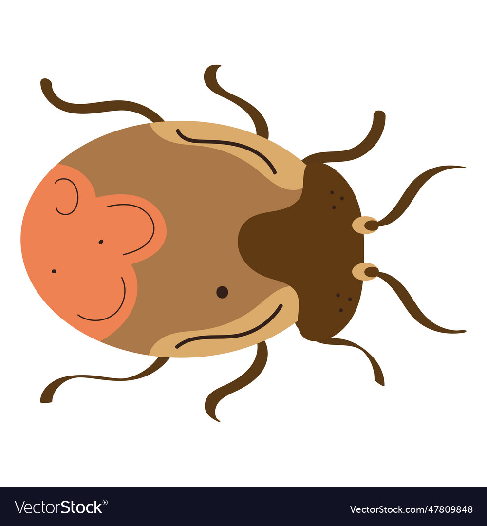 Isolated Colored Ladybug Sketch Character Vector Image