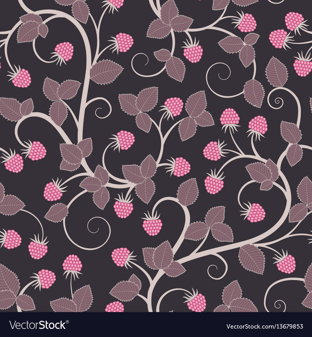 Seamless pattern with raspberry Royalty Free Vector Image